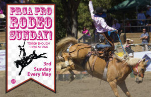 Pro Rodeo | Rowell Ranch Rodeo